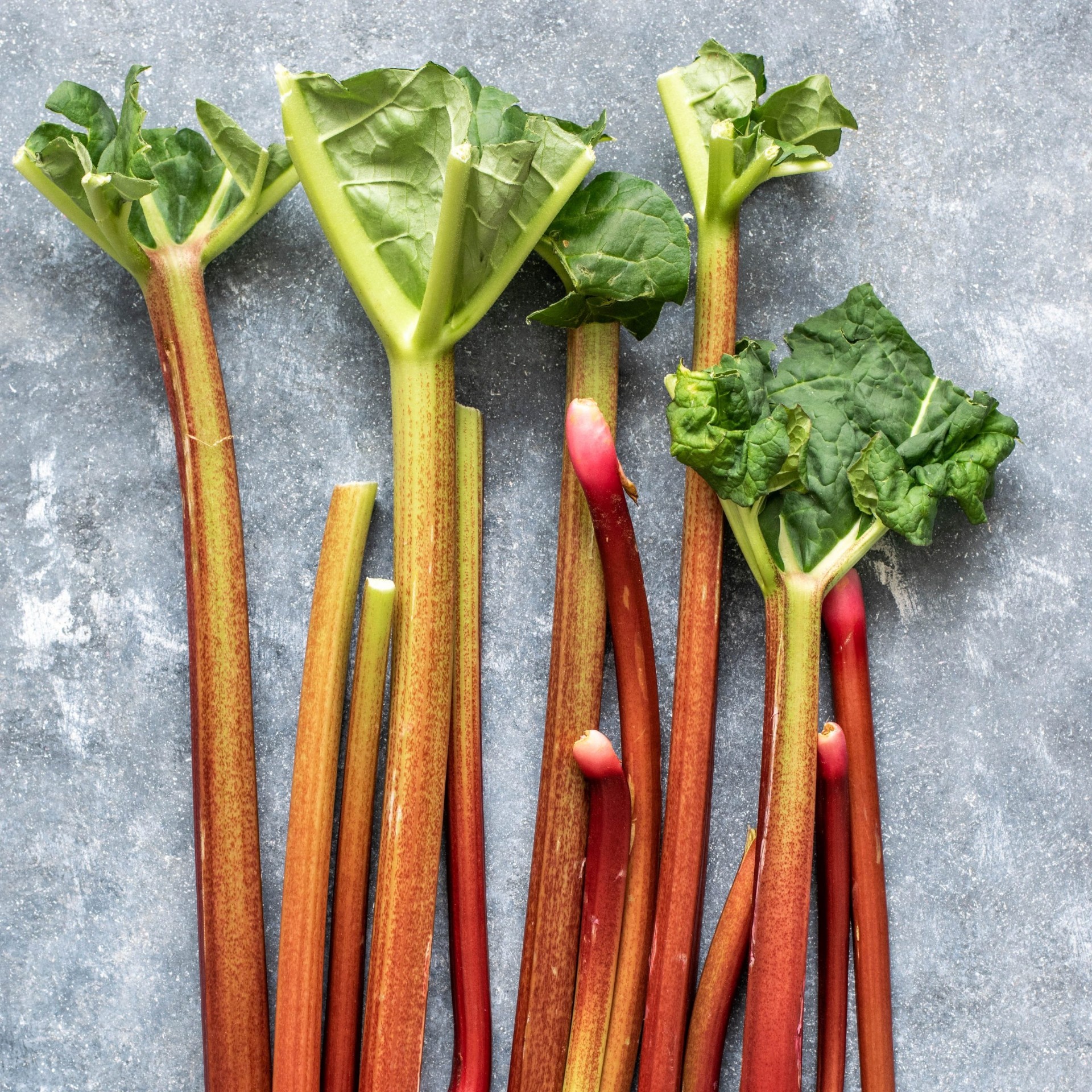 IQF Rhubarb Information and Supply | Uren Food Ingredients