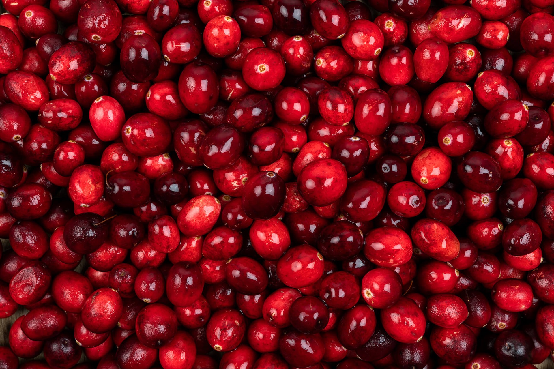 IQF Cranberries Information and Supply | Uren Food Ingredients