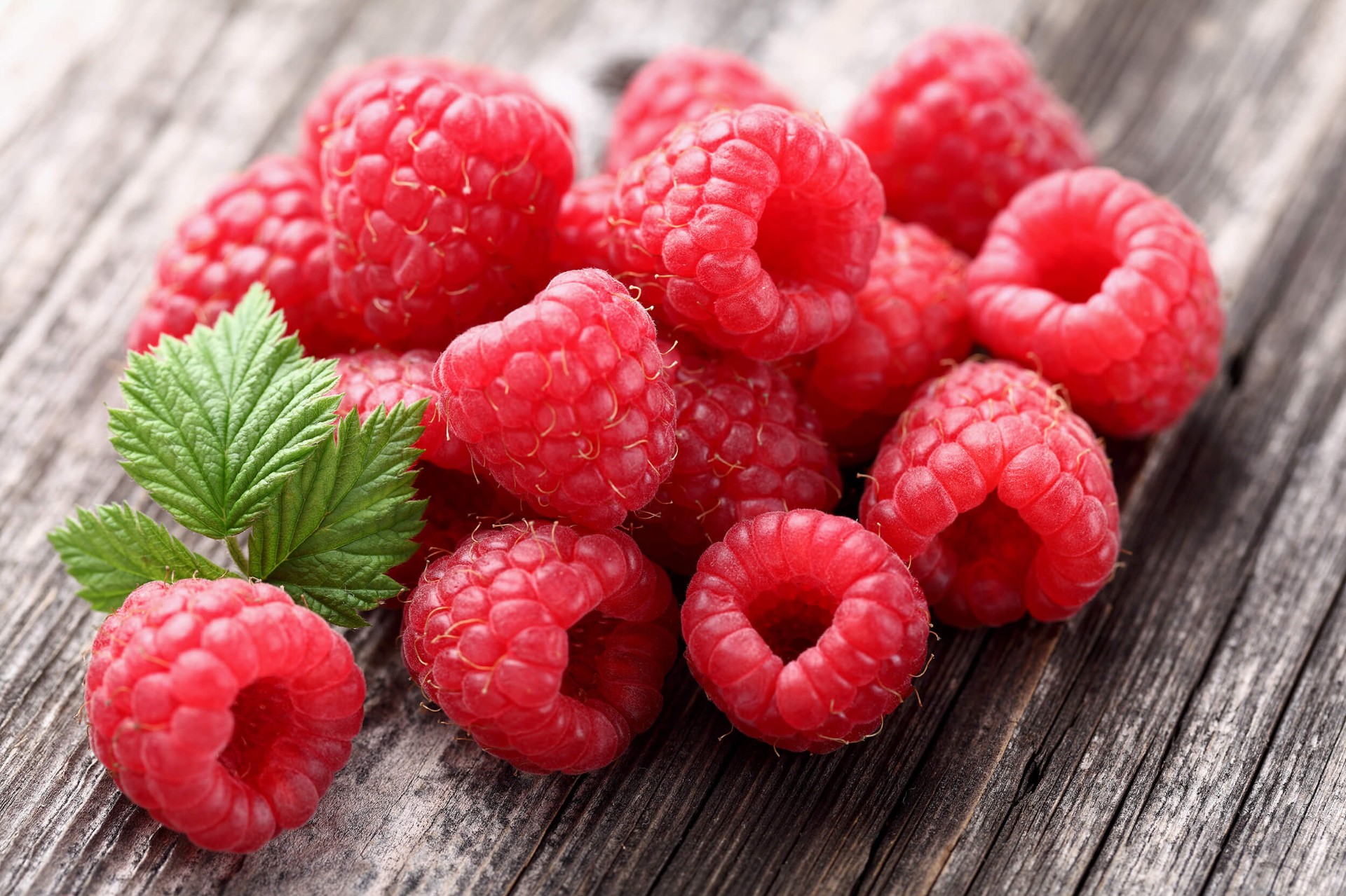 IQF Raspberries Information and Supply | Uren Food Ingredients IQF Raspberries Information and Supply | Uren Food Ingredients