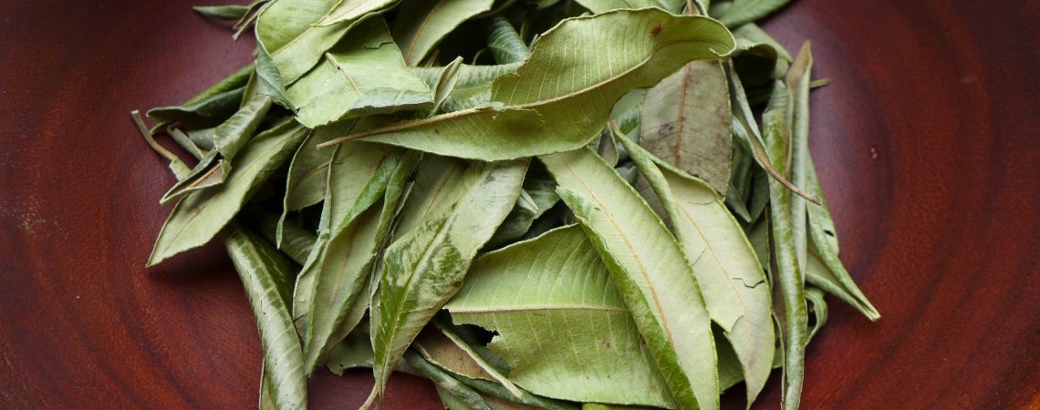 Lemon Myrtle: A 2021 Ingredient Trend | Uren Food Ingredients
